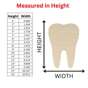 Unfinished Wooden Tooth Shape | Tooth Fairy | Dental Decor | Craft ...