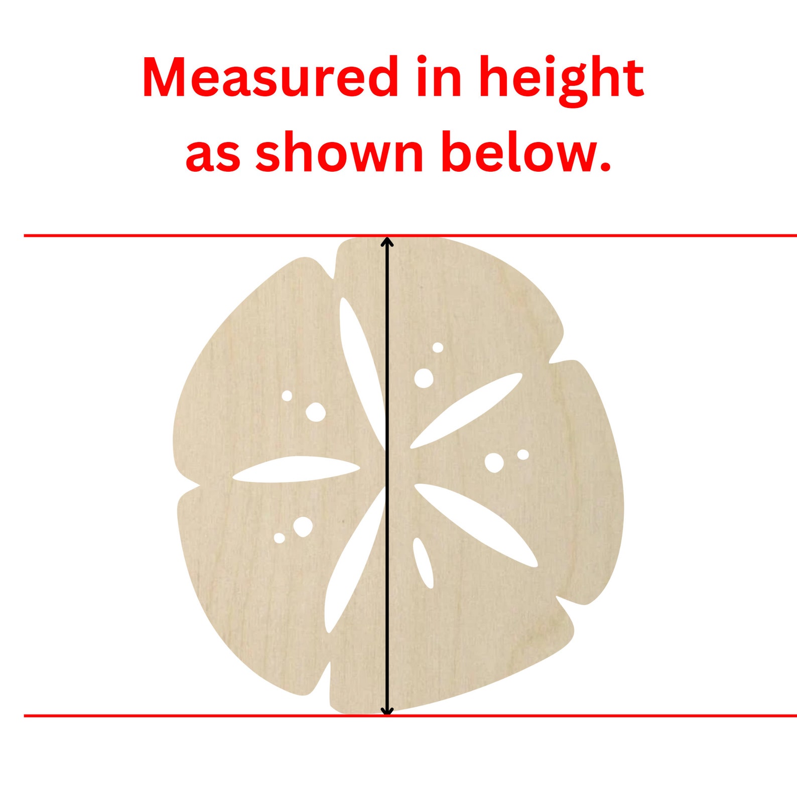 Unfinished Wooden Sand Dollar Shape 02 | Wood Shapes | Crafting ...