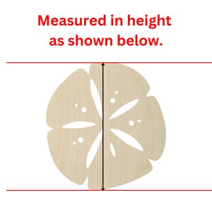 Unfinished Wooden Sand Dollar Shape 02 | Wood Shapes | Crafting ...