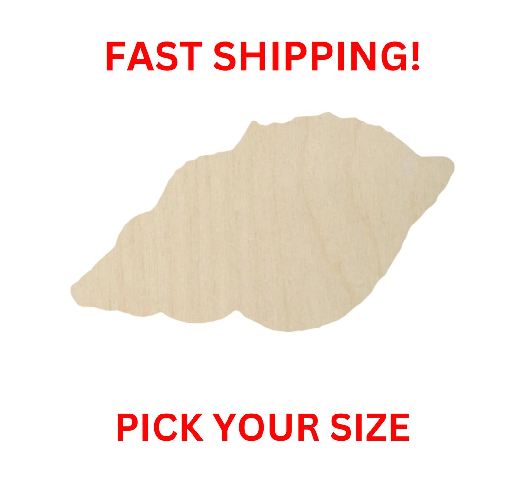 Unfinished Wooden Seashell Shape 01 | Wood Cutout Shape | Laser Cut ...