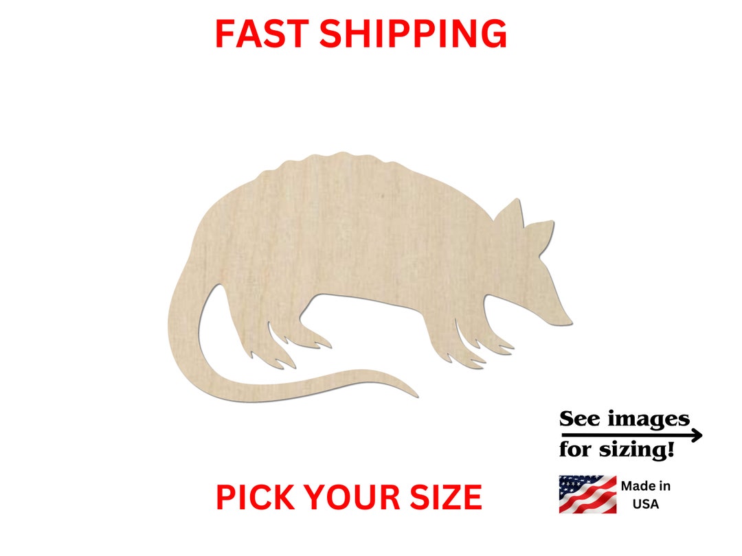 Unfinished Wooden Armadillo Shape | Armadillo Wood Cutout Shape | Laser ...