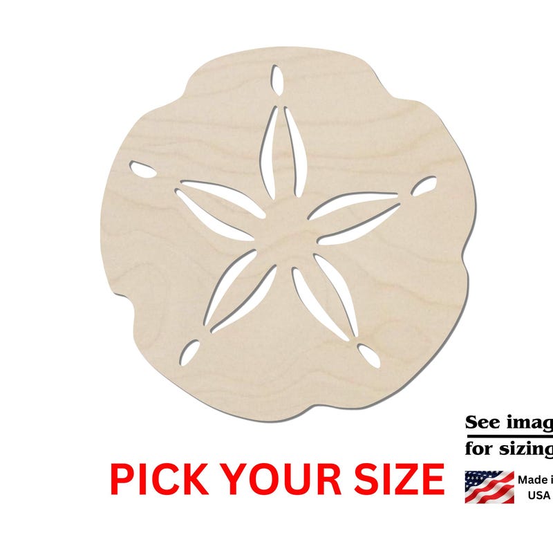 Large Sand Dollar - Etsy