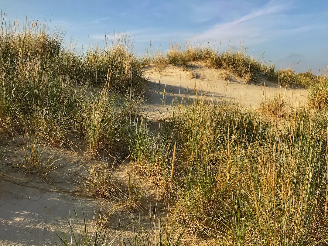 Dusk at Jones Beach Metallic Photograph, Golden Hour Photography of the ...