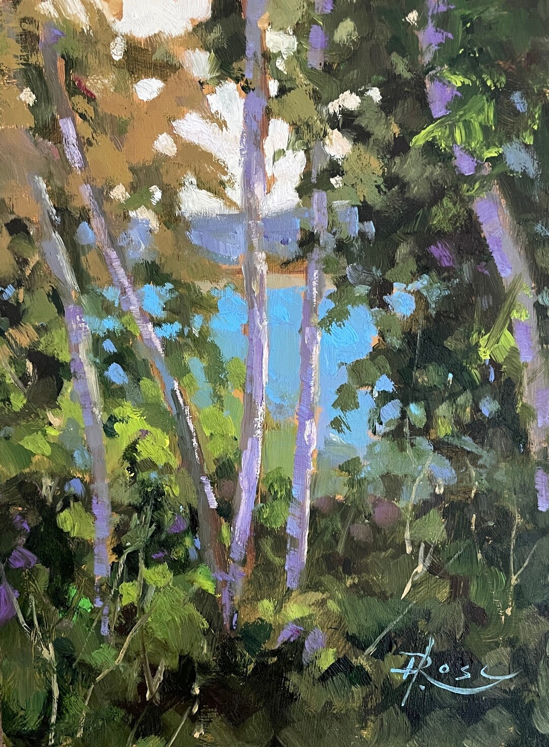 Birch Trees, Cedemere Park, Impressionist Painting, Original Oil ...