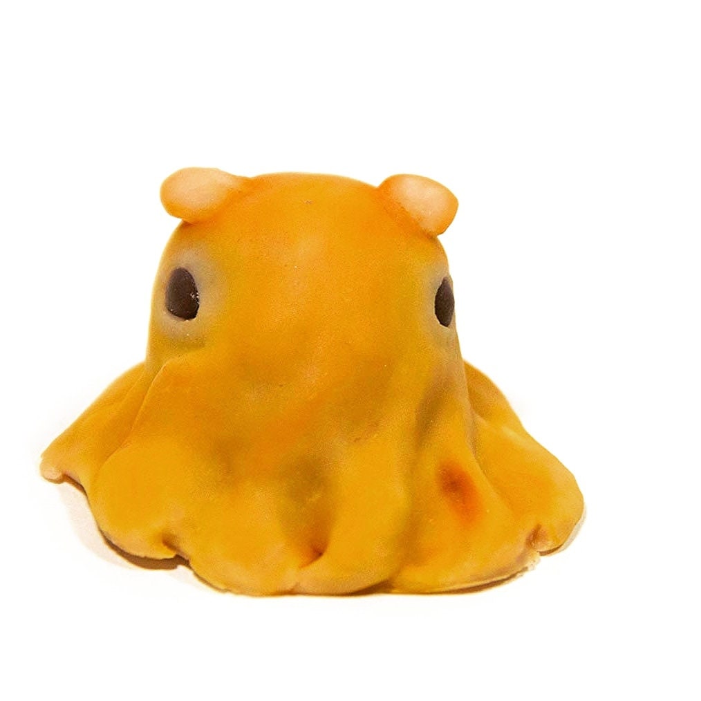 Flapjack Octopus