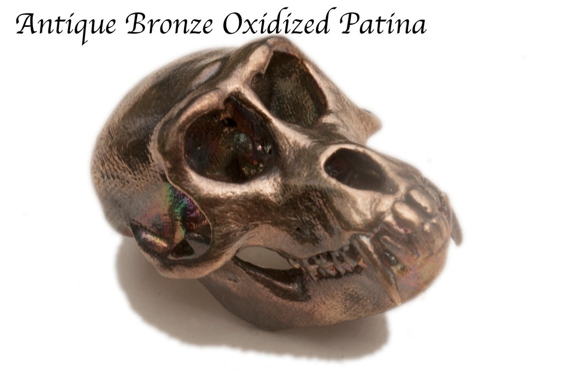 Animal Skull Rhesus Macaque Primate Skull Necklace Animal | Etsy