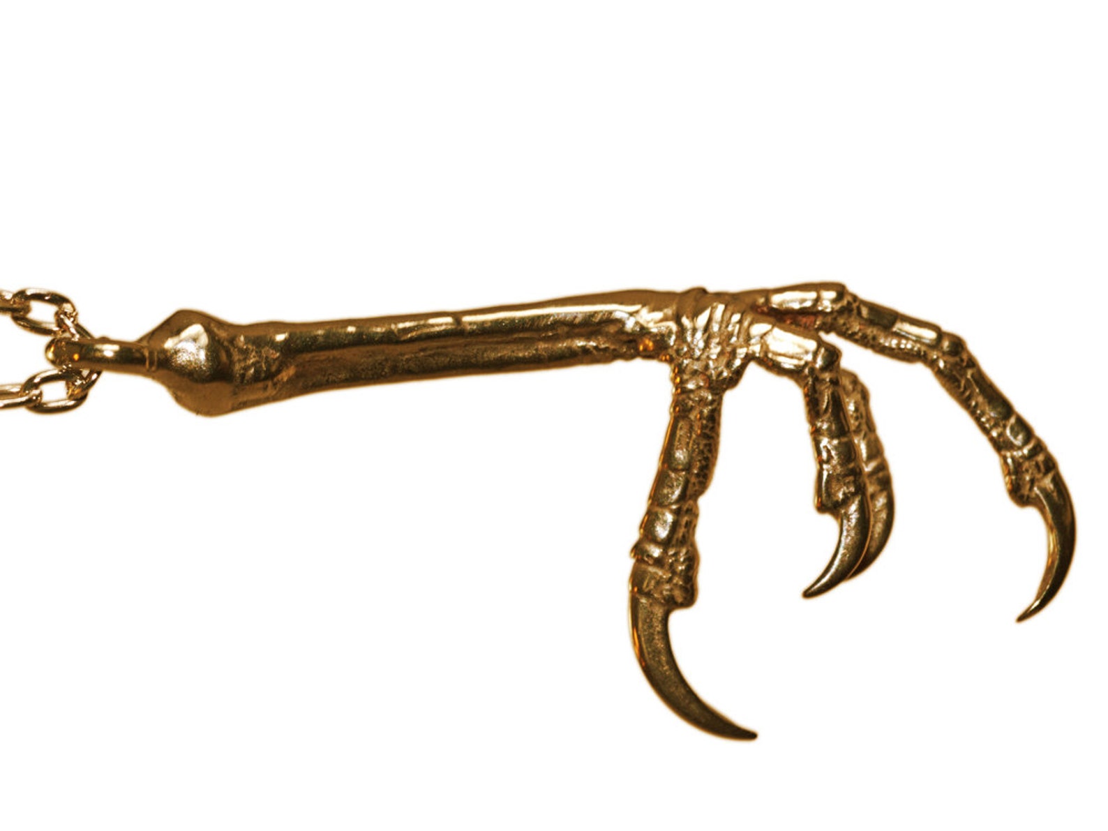 Bird Foot Necklace Bronze Talon Bird Claw Jewelry Animal Talon - Etsy