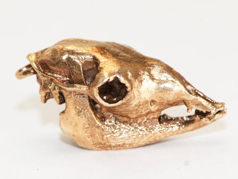 3D Printed Llama Skull Bronze White Bronze 925 Sterling Silver - Etsy