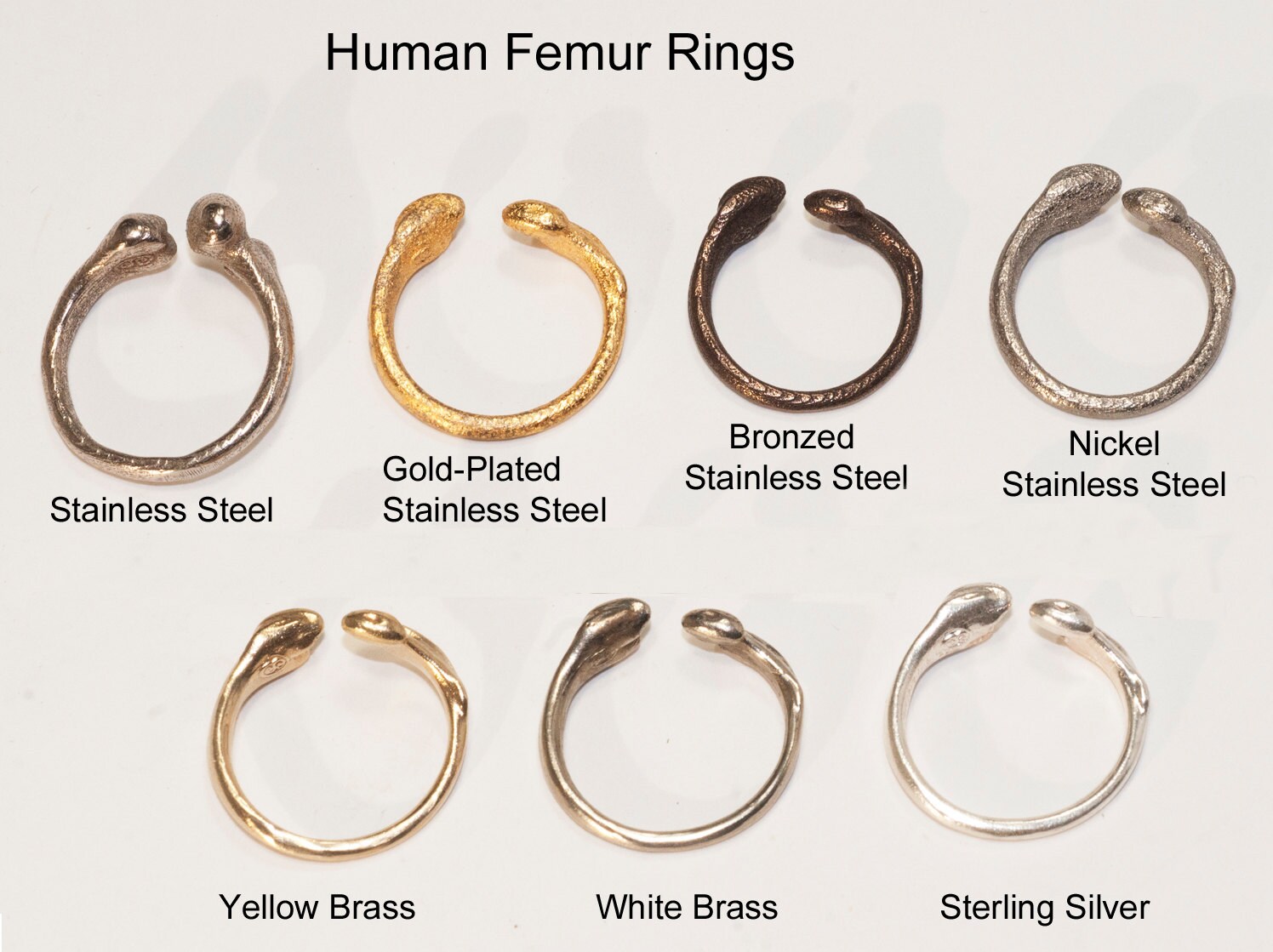 Human Femur Bone Ring Science Jewelry Brass Bronze Steel 3D | Etsy