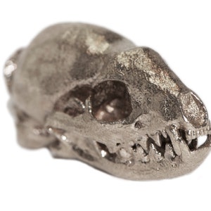 Mongoose Jewelry White Bronze Taxidermist Necklace Animal Skull Pendant ...