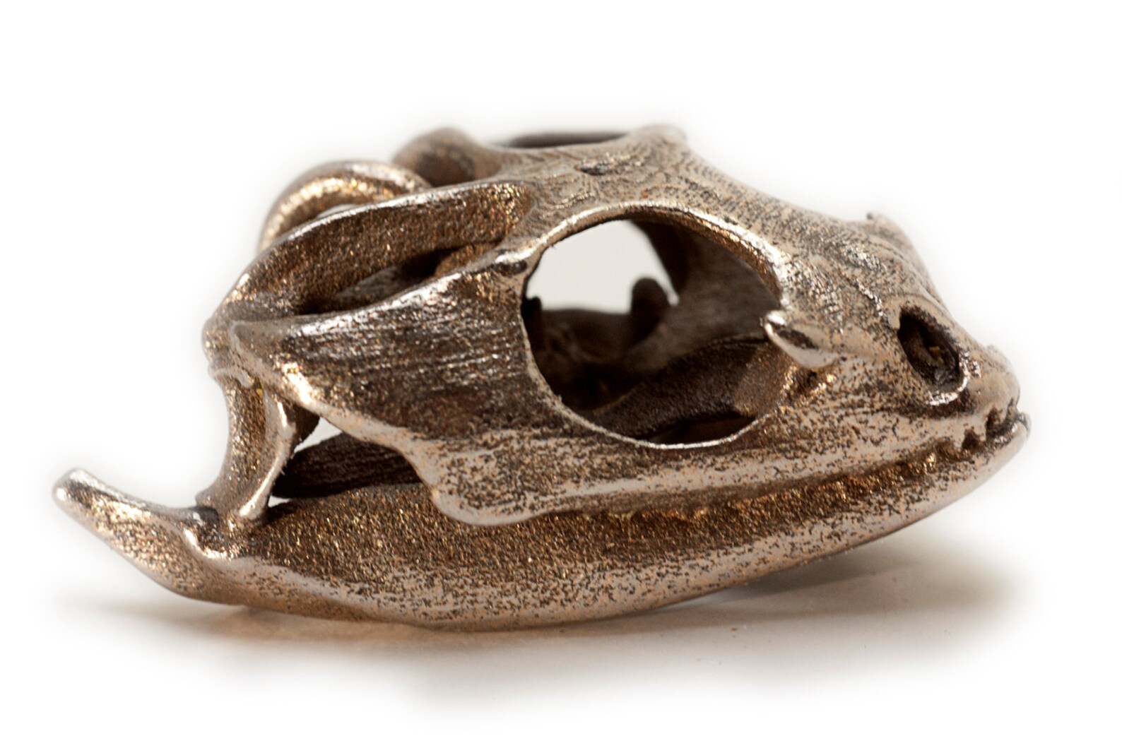 Bearded Dragon Lizard Keychain Pendant 3D Printed Lizard Skull | Etsy