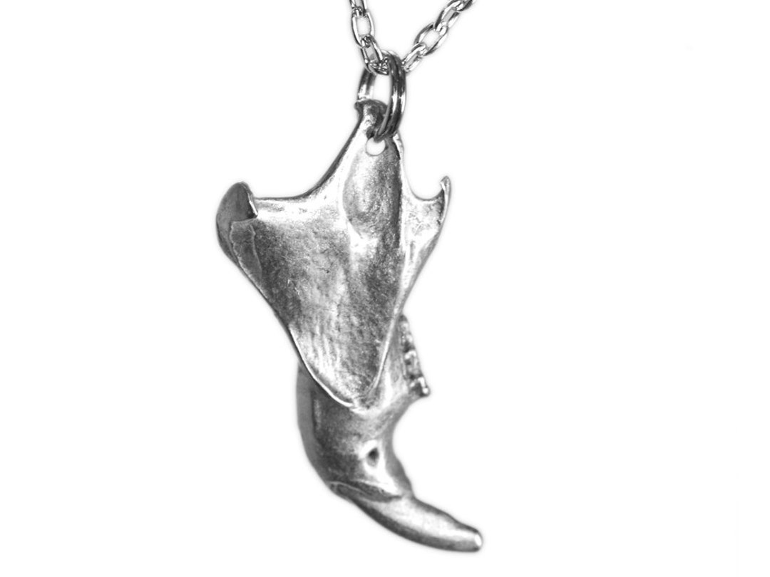 Sterling Silver Bone Necklace Animal Bone Jewelry Squirrel Jaw Bone ...