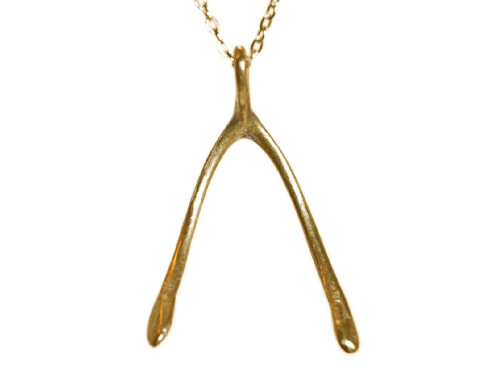 Wishbone Necklace Furcula Bone Pendant Wishbone Jewelry Bronze - Etsy