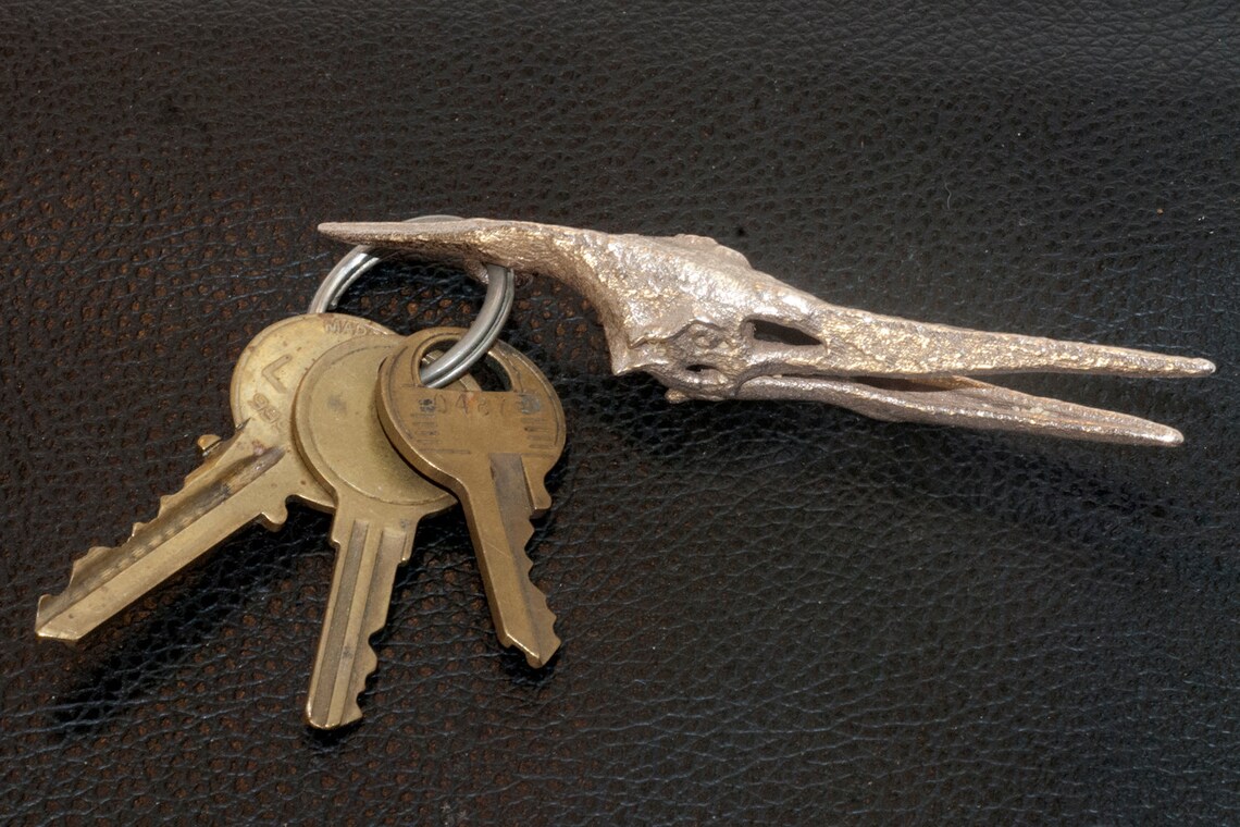 Dinosaur Skull Keychains Skull Keychains Biology Keychain - Etsy