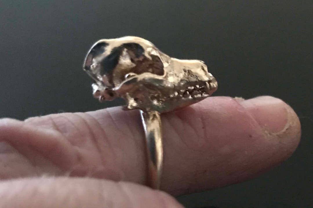 Dog Skull Ring - Animal Skull Ring - Bronze Brass Silver Jewelry - Etsy