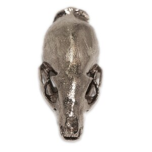 Mongoose Jewelry White Bronze Taxidermist Necklace Animal Skull Pendant ...
