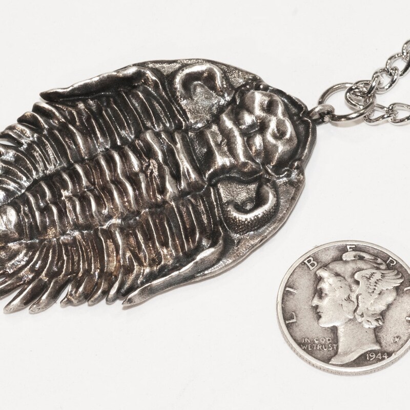 Trilobite Pendant - Etsy