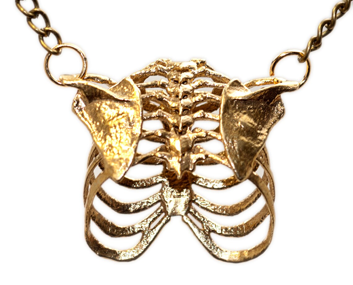 Bone Jewelry Human Rib Cage Necklace Ribcage Pendant Human - Etsy