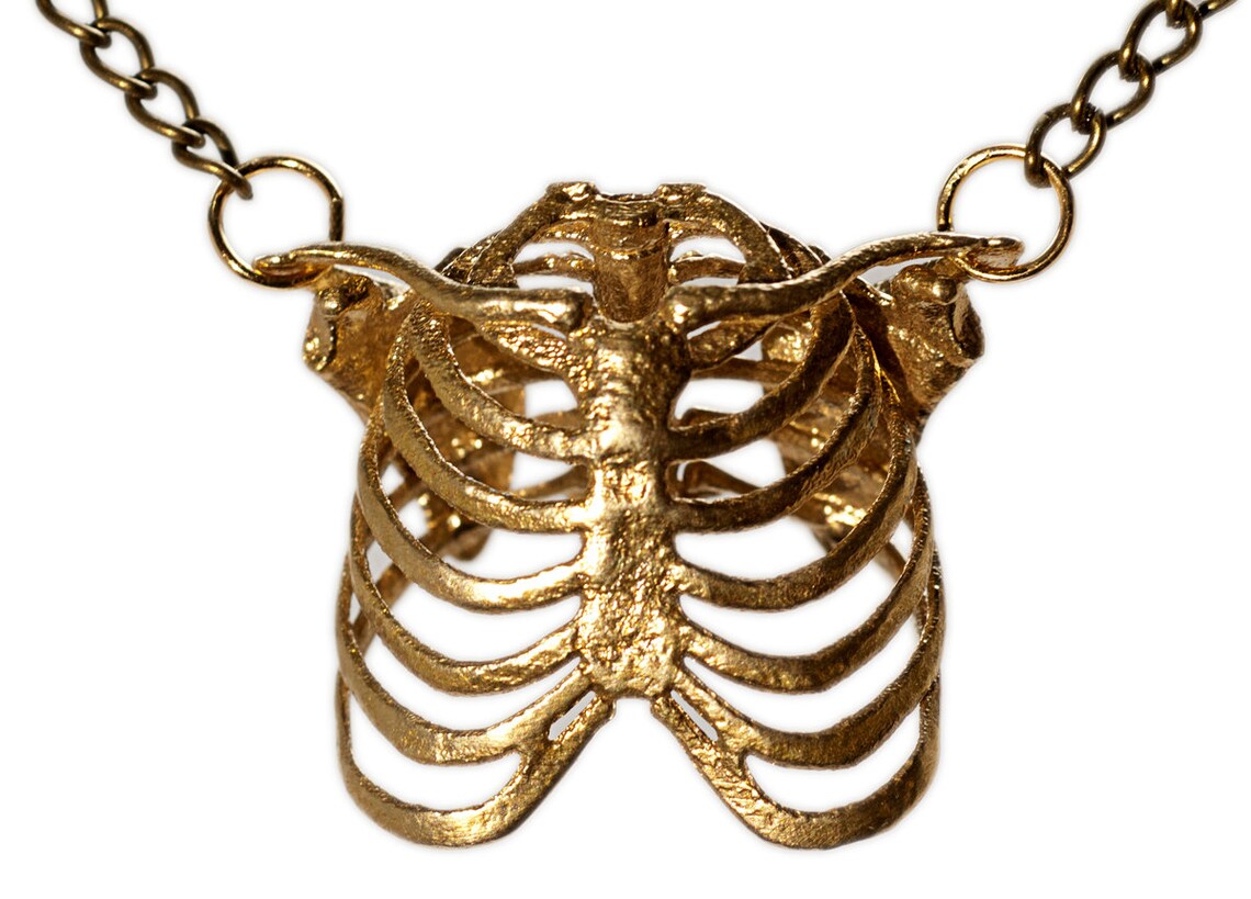 Bone Jewelry Human Rib Cage Necklace Ribcage Pendant Human - Etsy