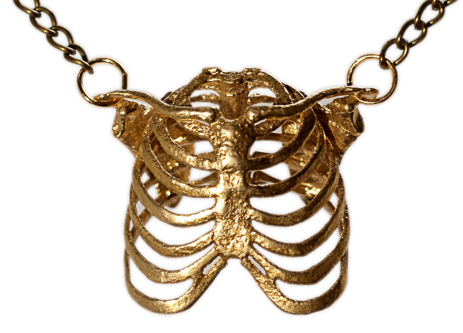 Bone Jewelry Human Rib Cage Necklace Ribcage Pendant Human - Etsy