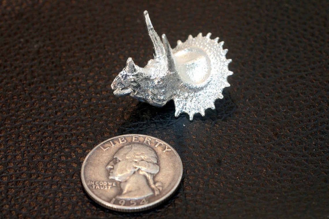 Dinosaur Skull Keychains Skull Keychains Biology Keychain | Etsy