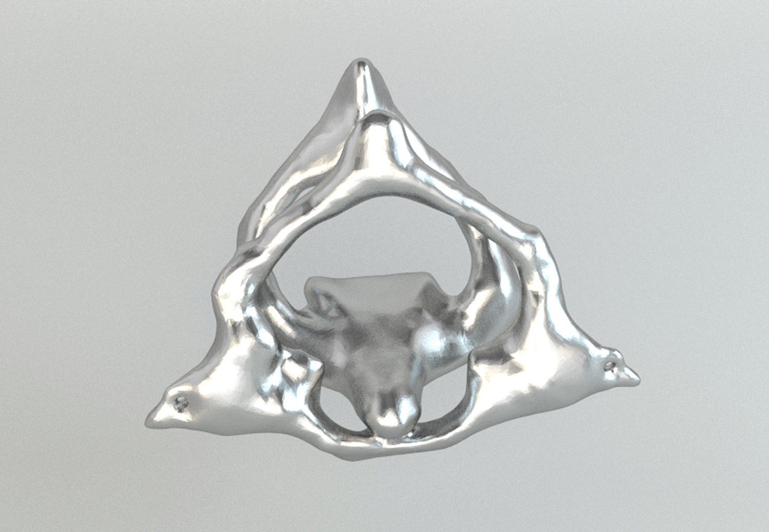 Atlas Vertebrae Unlabeled