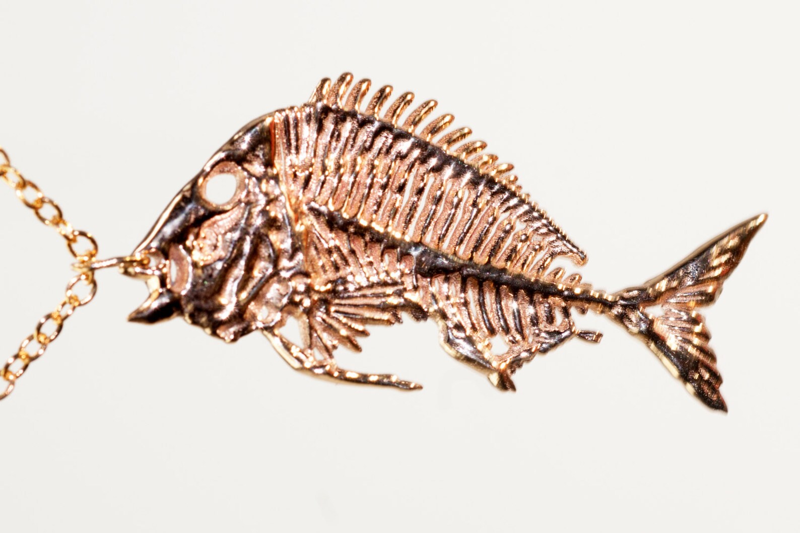 Porgy Fish Skeleton Earrings Porgy Earrings Fish Earrings - Etsy