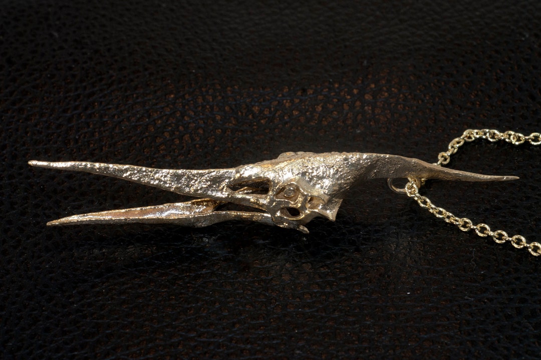 Dinosaur Necklace - Pteranodon Skull Pendant - Science Jewelry ...