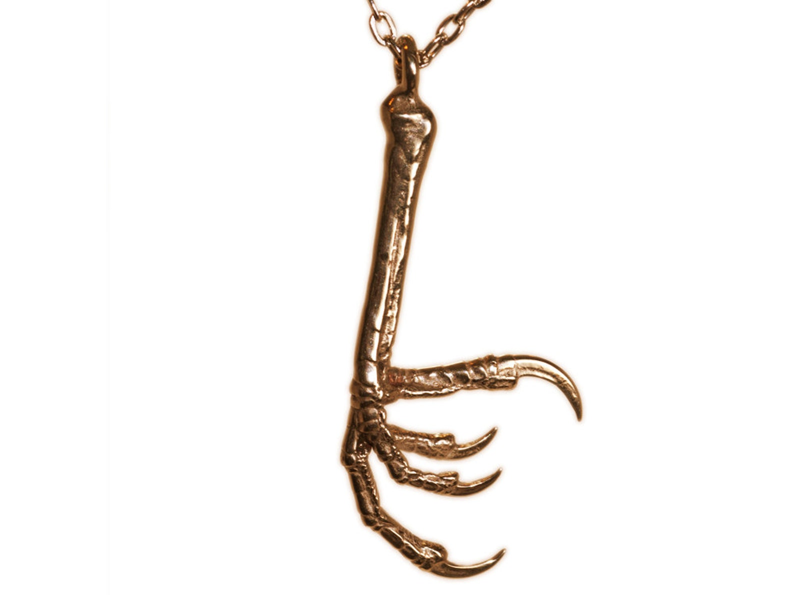 Bird Foot Necklace Bronze Talon Bird Claw Jewelry Animal Talon - Etsy