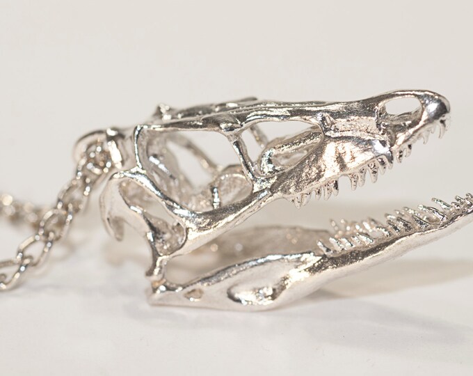 Dinosaur Pendant - Velociraptor Dinosaur Pendant - Dinosaur Jewelry ...