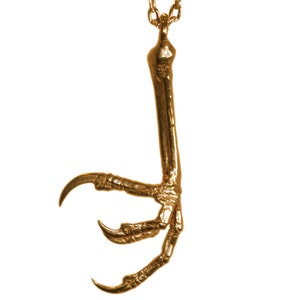Bird Foot Necklace Bronze Talon Bird Claw Jewelry Animal Talon - Etsy