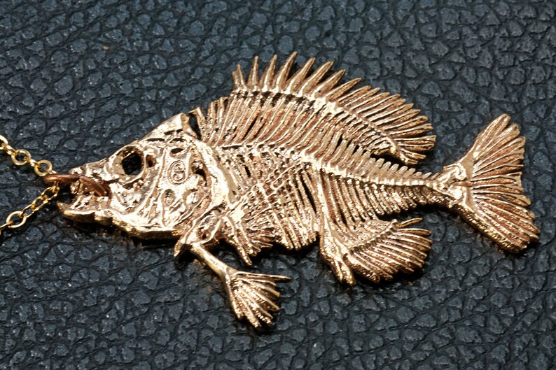 Bluegill Fish Skeleton Pendant Bluegill Necklace Fish - Etsy