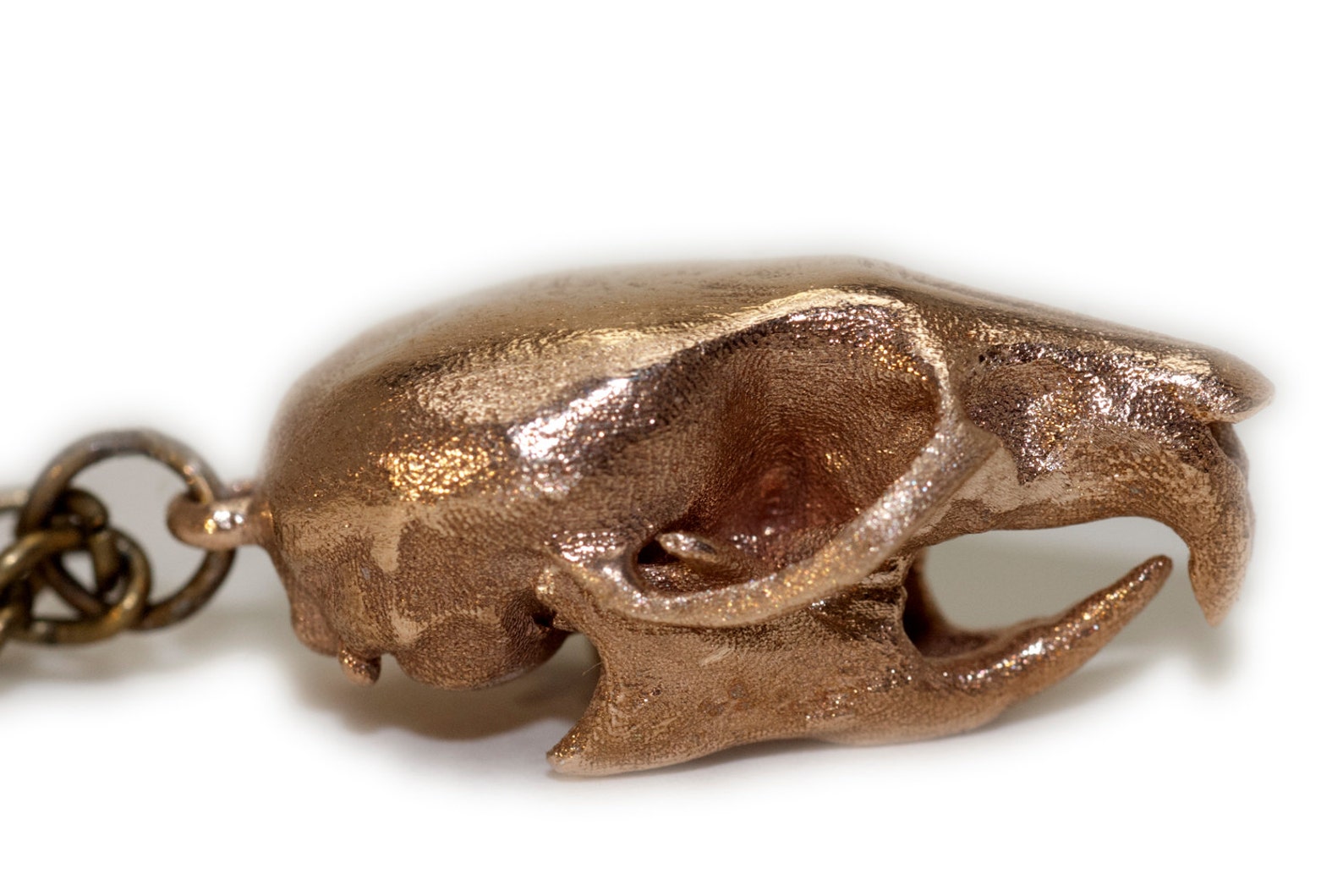 Skull Jewelry Rat Skull Jewelry Bronze Necklace - Etsy