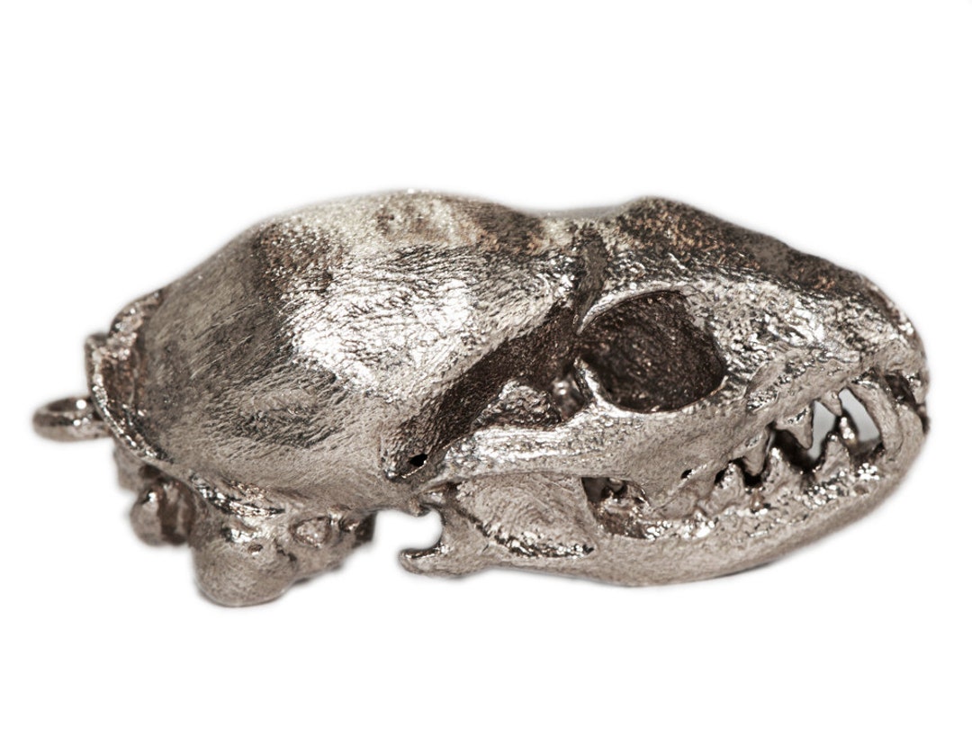 Mongoose Jewelry White Bronze Taxidermist Necklace Animal Skull Pendant ...