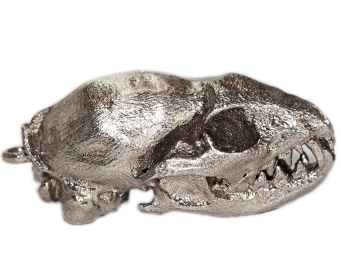 Mongoose Jewelry White Bronze Taxidermist Necklace Animal Skull Pendant ...