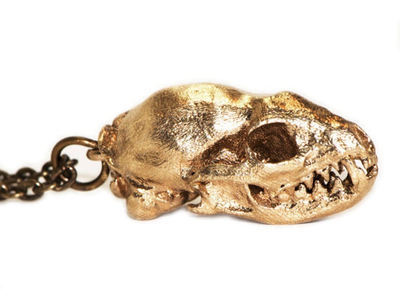 Animal Skull Necklace Mongoose Skull Pendant 3D Printed Skulls - Etsy