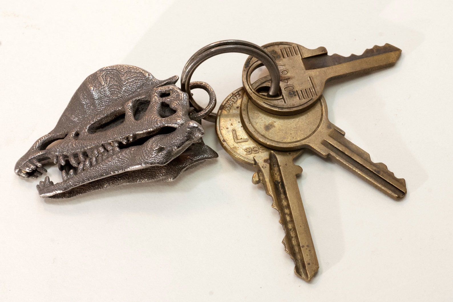 Dinosaur Skull Keychains Skull Keychains Biology Keychain | Etsy