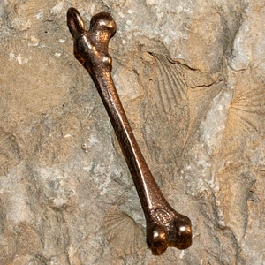 Bone Jewelry Human Femur Bone Pendant Human Thigh Bone Science Jewelry ...