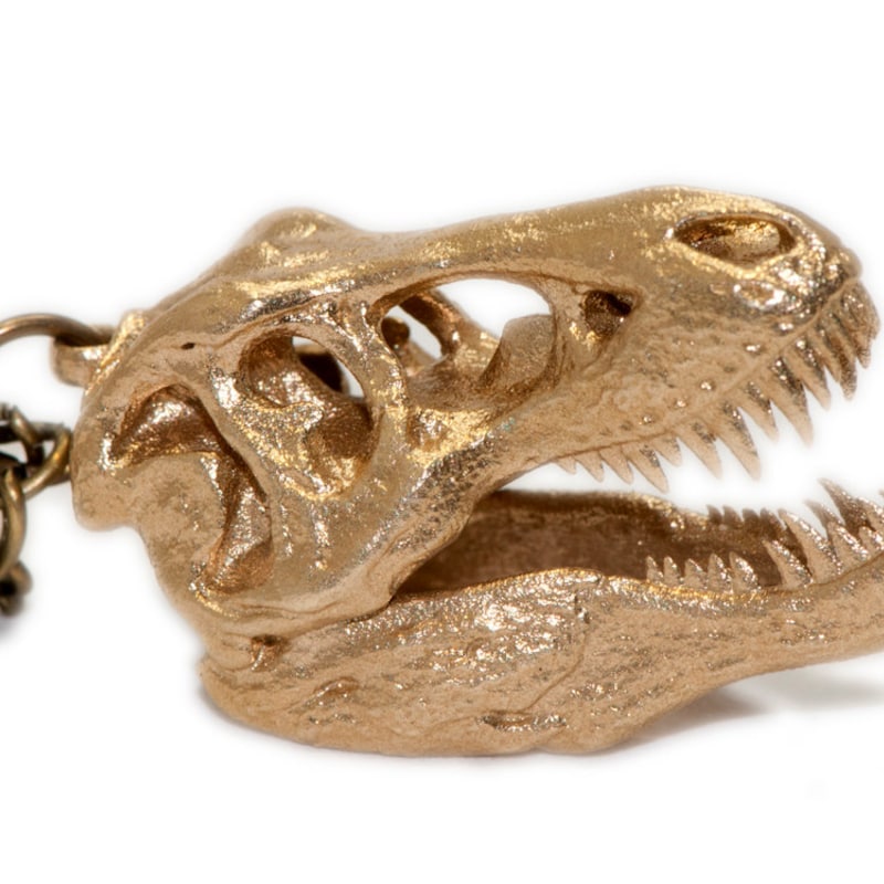 Dinosaur Jewelry - Etsy