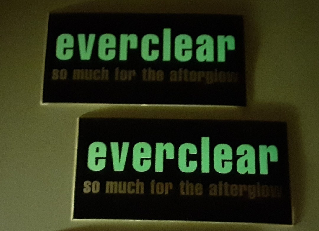 Pair of 1997 EVERCLEAR so Much for the Afterglow Glow in the Dark Promo ...