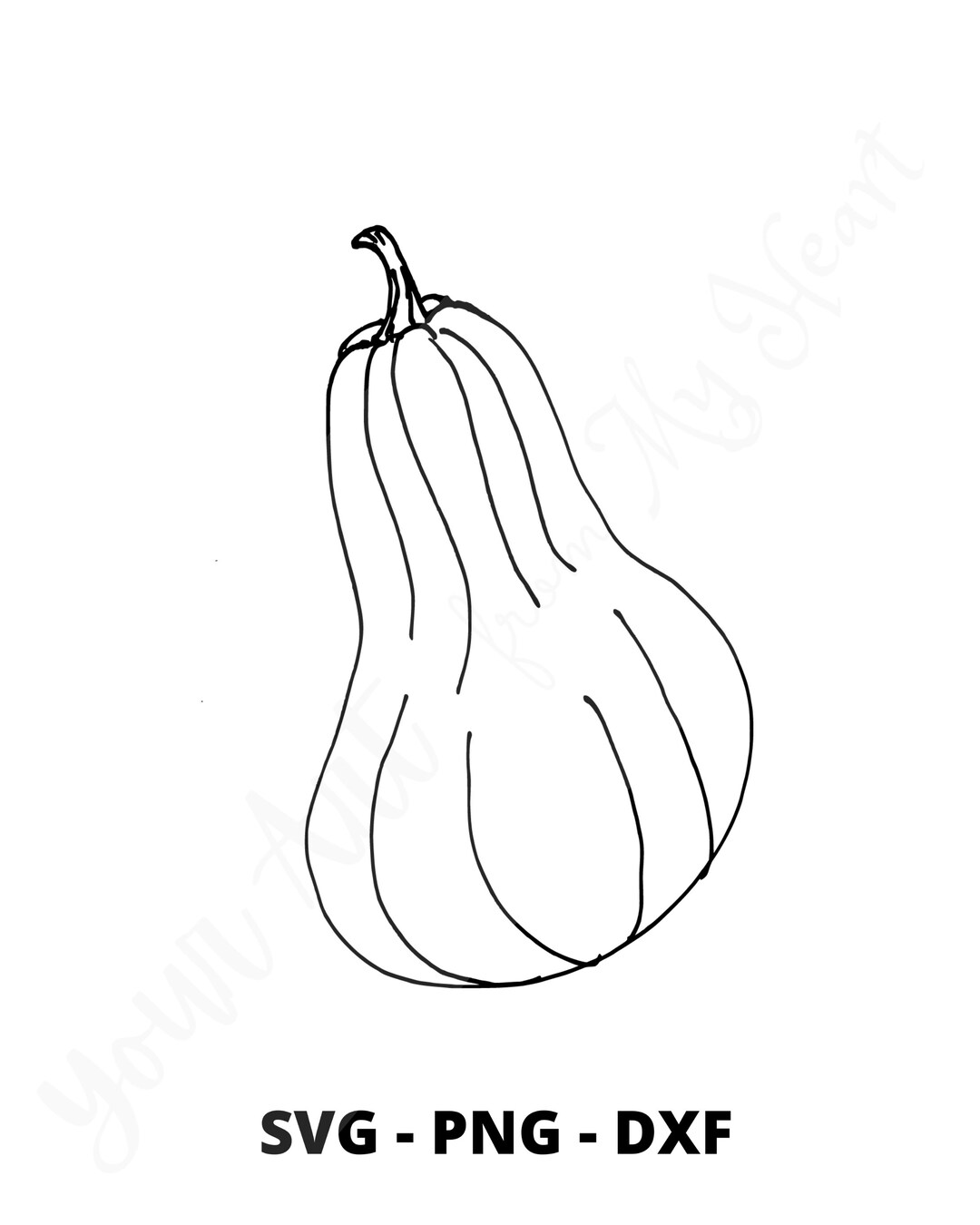 Squash SVG PNG DXF File, Fall Art, Printable Squash Art, Butternut ...
