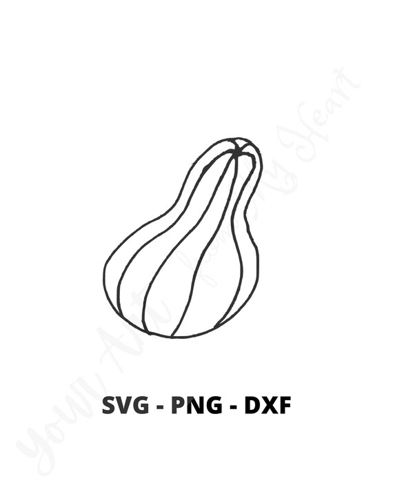 Squash SVG PNG DXF File Fall Art Printable Squash Art - Etsy