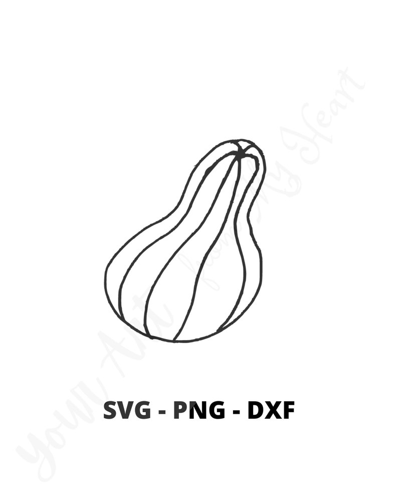 Squash SVG PNG DXF File Fall Art Printable Squash Art - Etsy