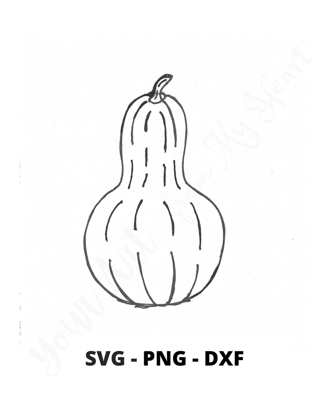 Squash SVG PNG DXF File, Fall Art, Printable Squash Art, Butternut ...