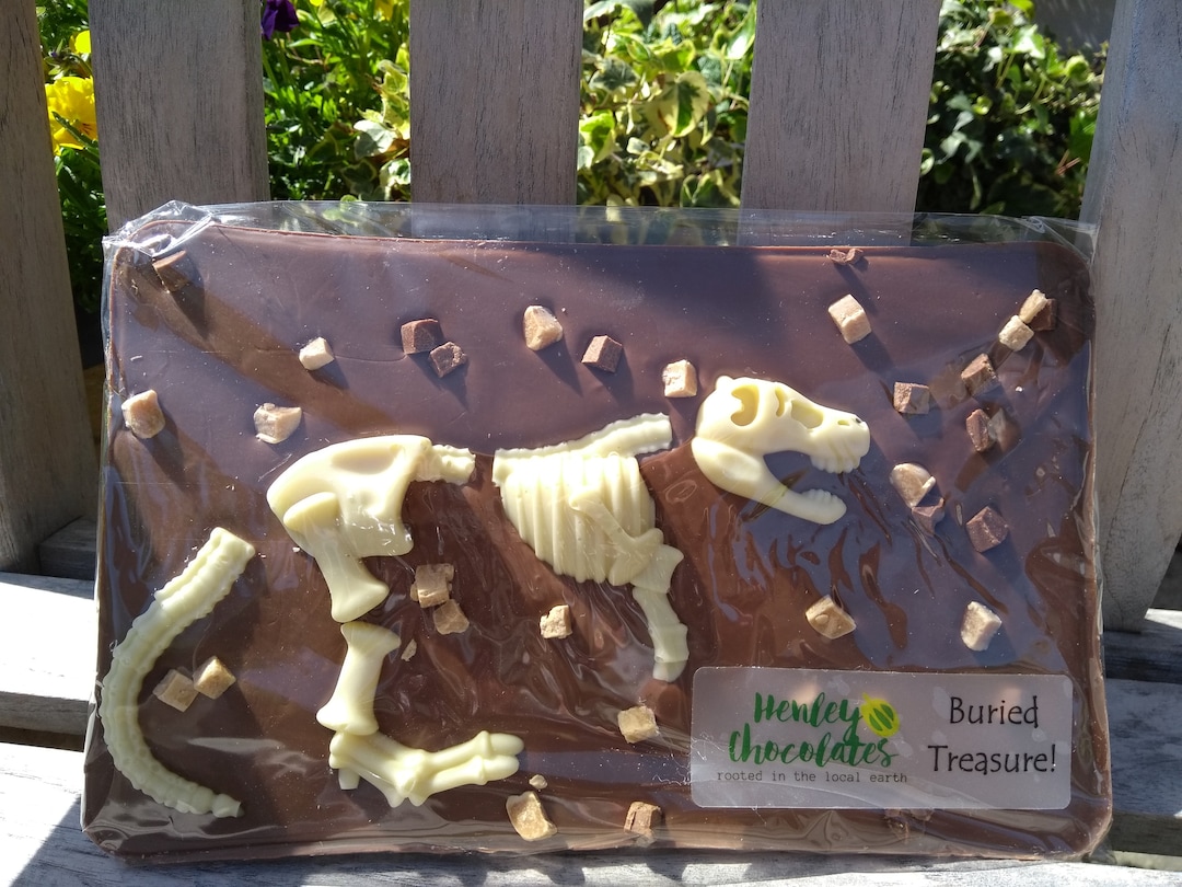 Giant Chocolate Dinosaur Slab Bar (500g): Buried Treasure! Huge ...