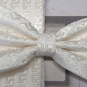 Cream Raised Pattern with Free Pocket Square Design Pretied - Etsy