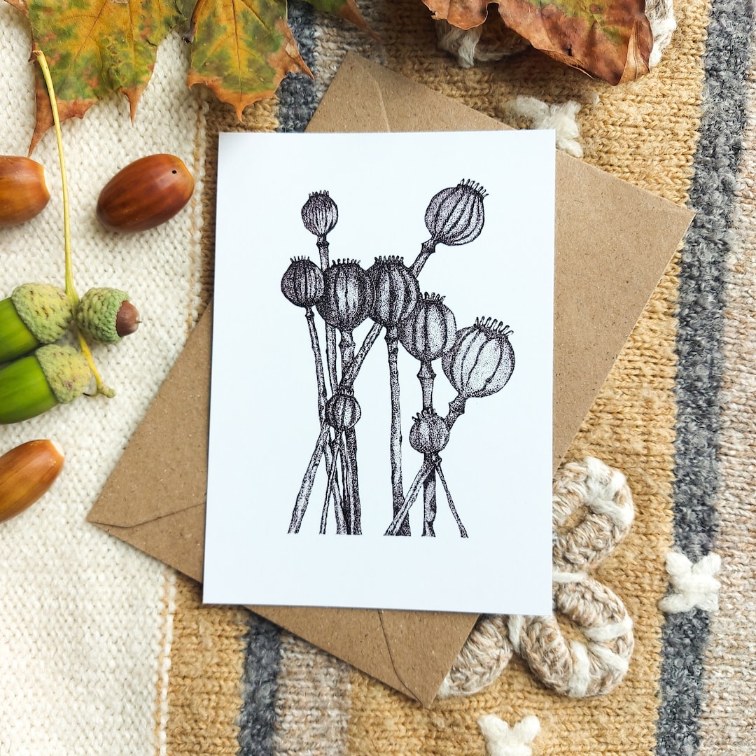 Poppy Cages Ink Drawing Card, Gratitude Card, Flower Thank You Cards ...