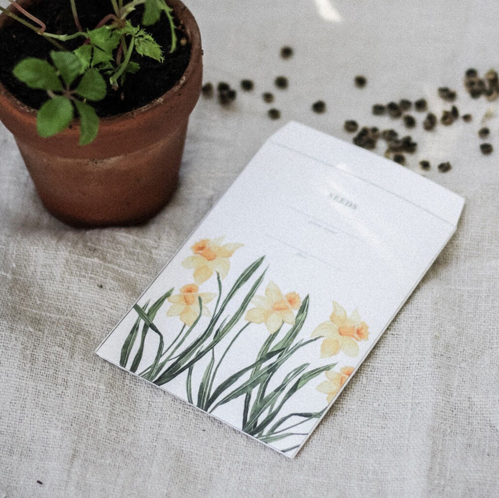 Printable Seed Packet, Instant Download, Daffodil Design - Etsy Canada