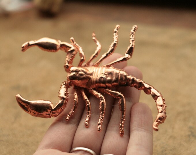 Scorpion Arachnid Statue Electroformed Scorpio Copper Plated - Etsy