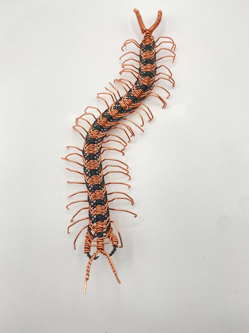 Life Size Centipede Wire Sculpture Centipede Metal Sculpture - Etsy